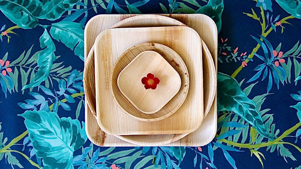 Palm leaf plates – Everything you need to know - FOOGO Green
