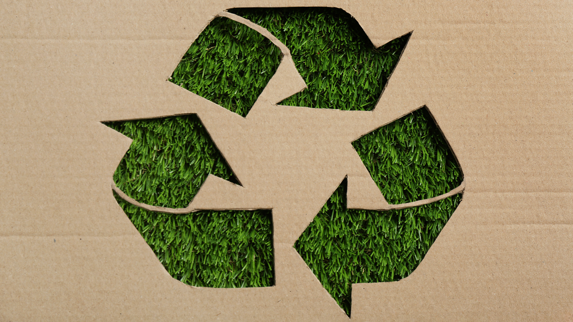 How to start being eco-friendly - FOOGO Green