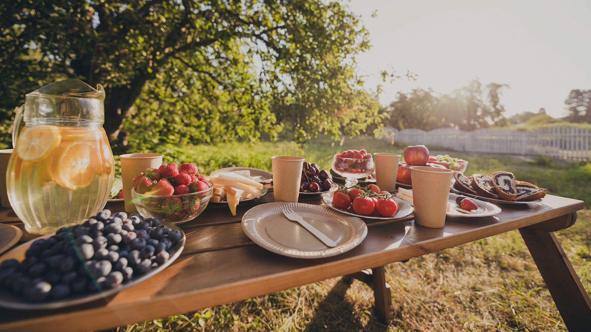 Types of compostable tableware - FOOGO Green
