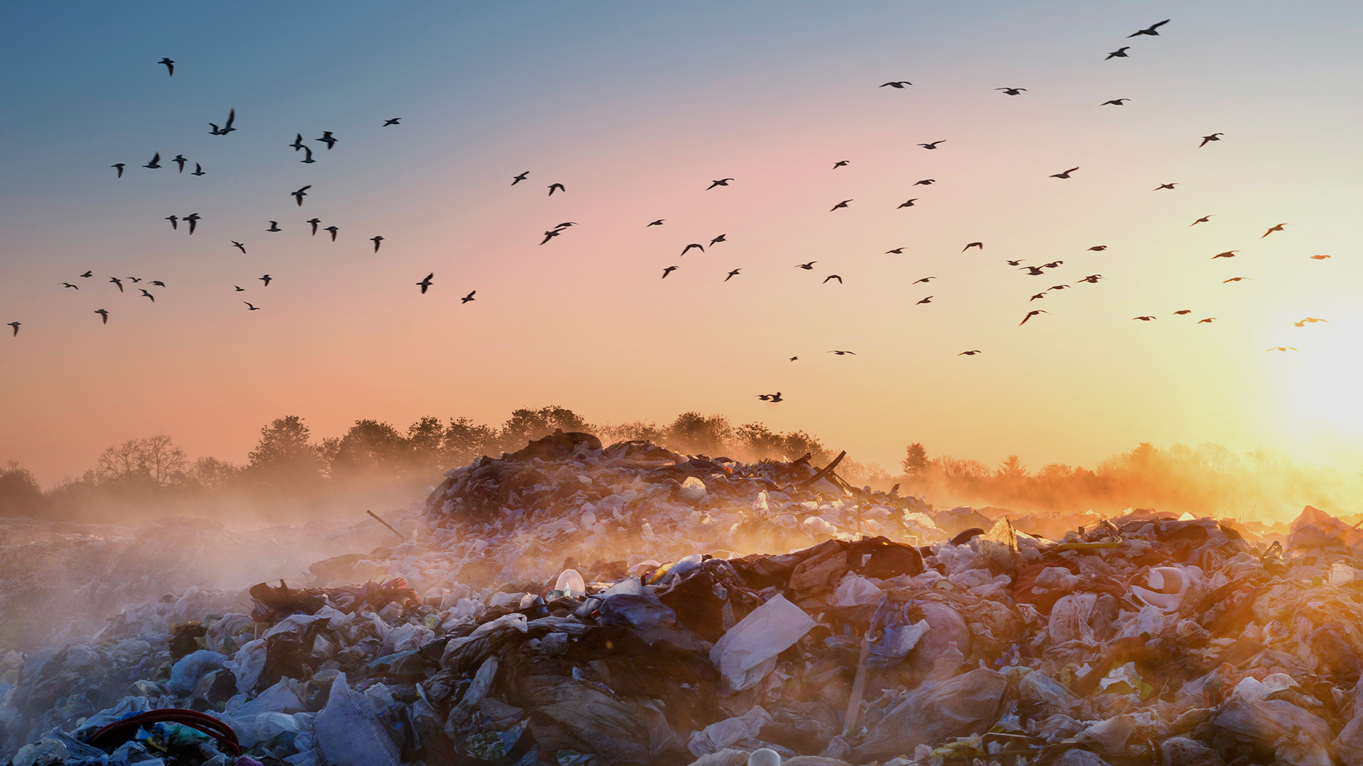 Why zero waste is important - FOOGO Green