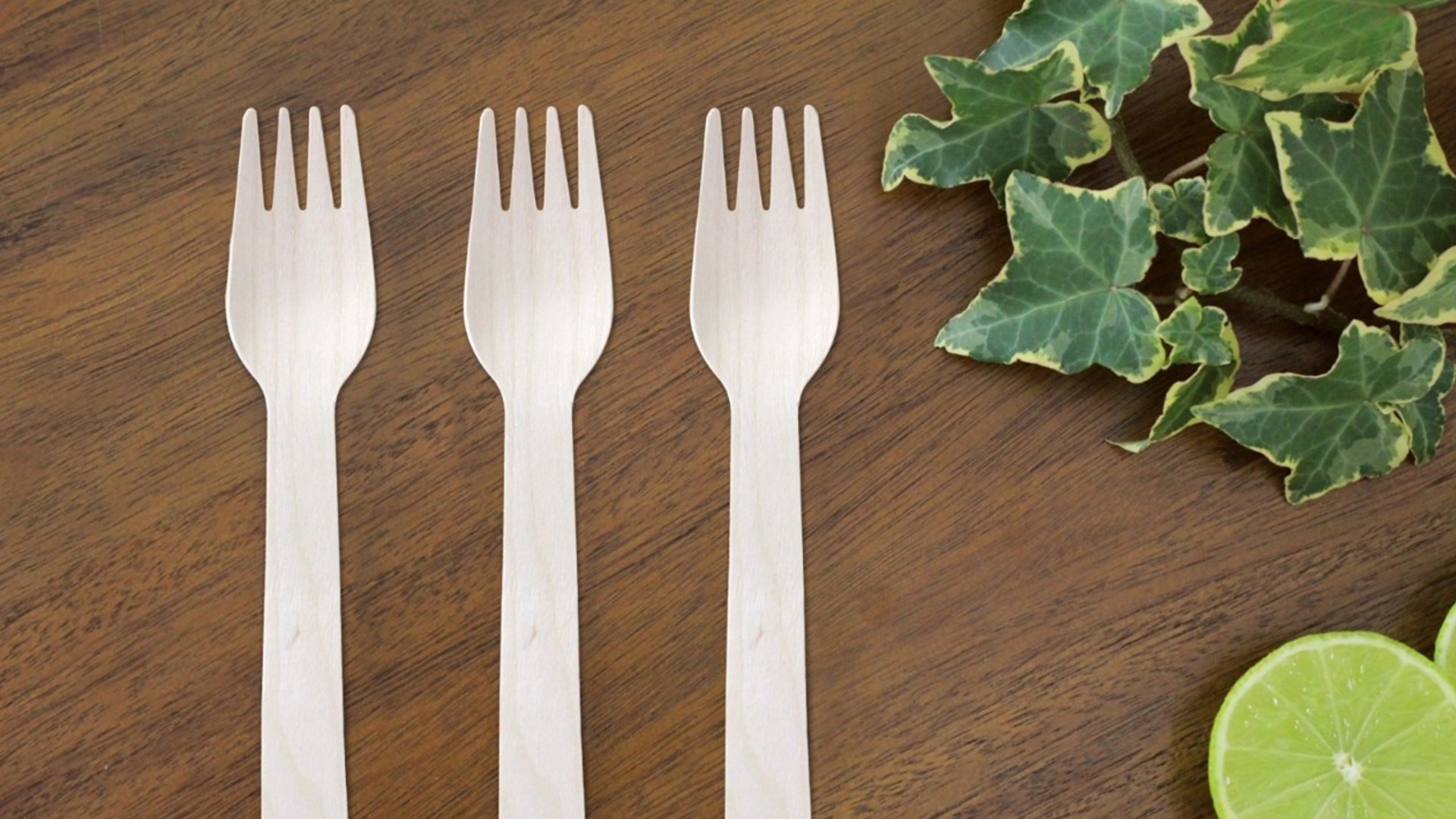 Eco-friendly disposable forks - FOOGO Green