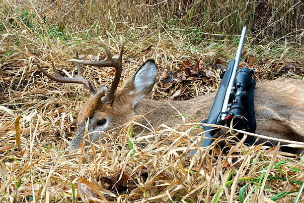 How to Prepare for Deer Season | Essential Hunting Tips - Cedar Mill ...