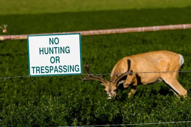 How to Prepare for Deer Season | Essential Hunting Tips - Cedar Mill ...