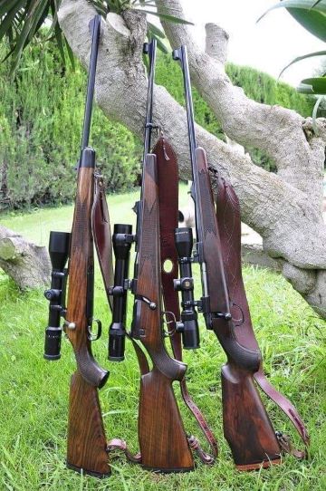 Best Bolt-Action Rifles For Big Game Hunting - Cedar Mill Fine Firearms