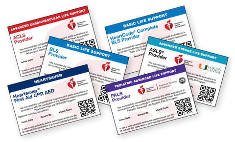 AHA E-Cards 1 ACLS, 1 BLS and 1 PALS