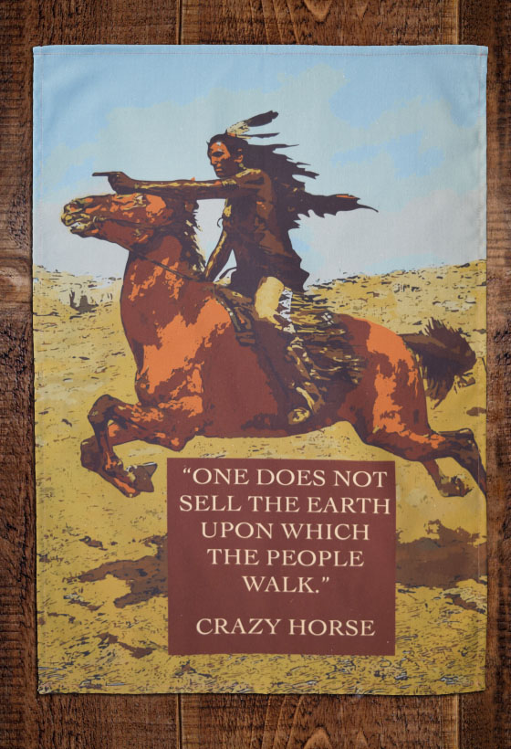 The Messenger: Samuel Worcester and the Fight for Cherokee Land ...