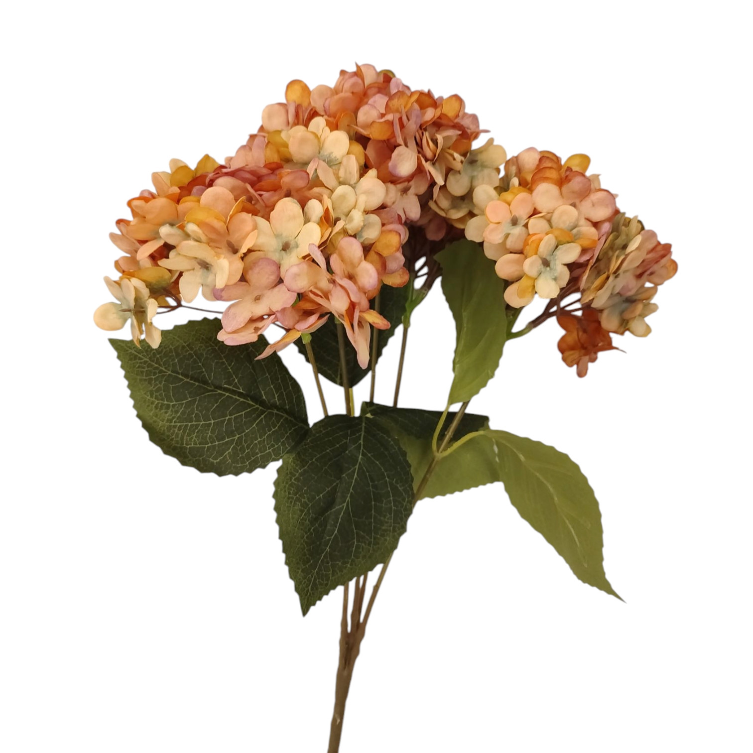 Orange Hydrangea 40cm - lifestyle @ BALI TRADING