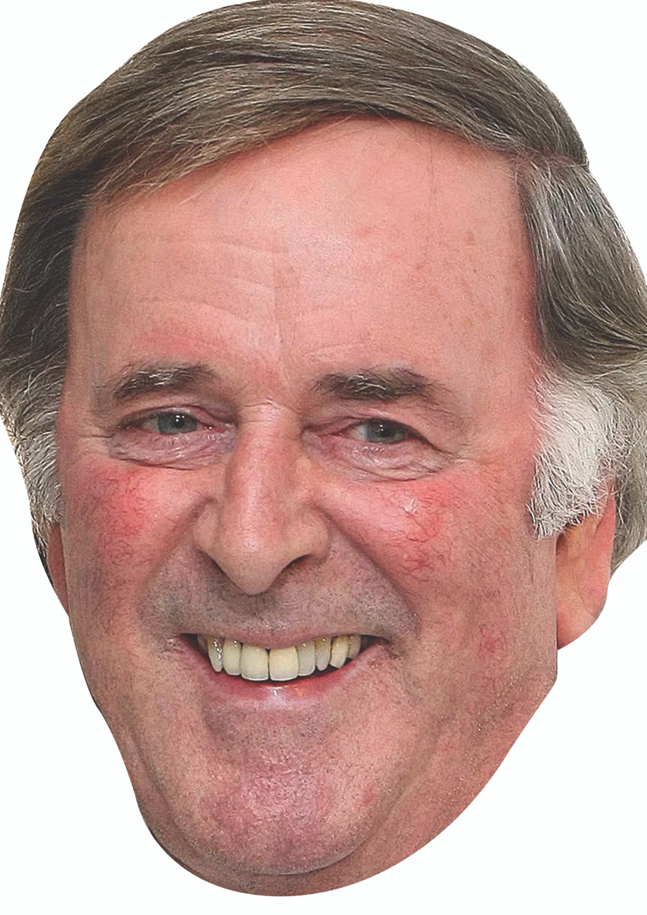 Terry wogan eurovision celebrity face mask Fancy Dress Face Mask 2021 ...