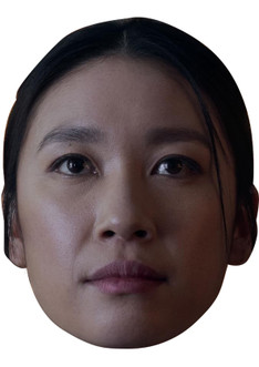 Jess Hong - Jin Cheng - The 3 Body Problem Celebrity party face fancy ...