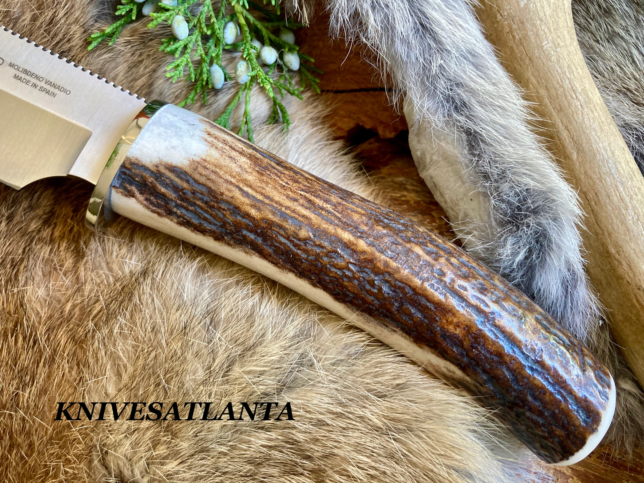 Muela Knives ~ Viper ~ Hunter
