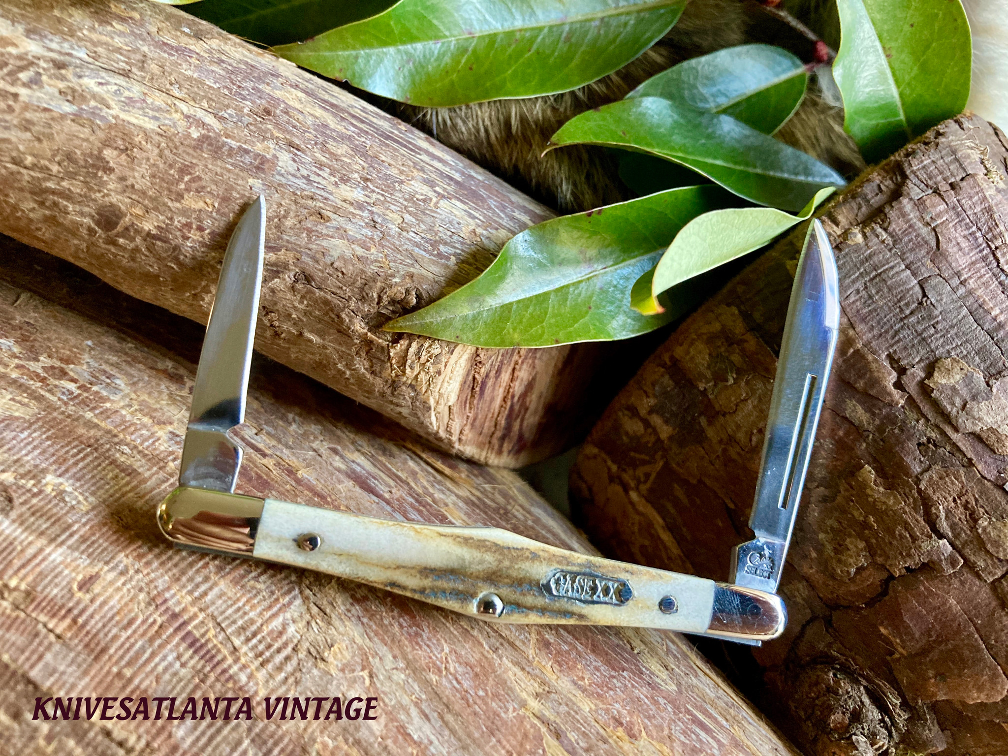 Case XX Select SS Tuxedo Pen Knife Stag ~ Vintage