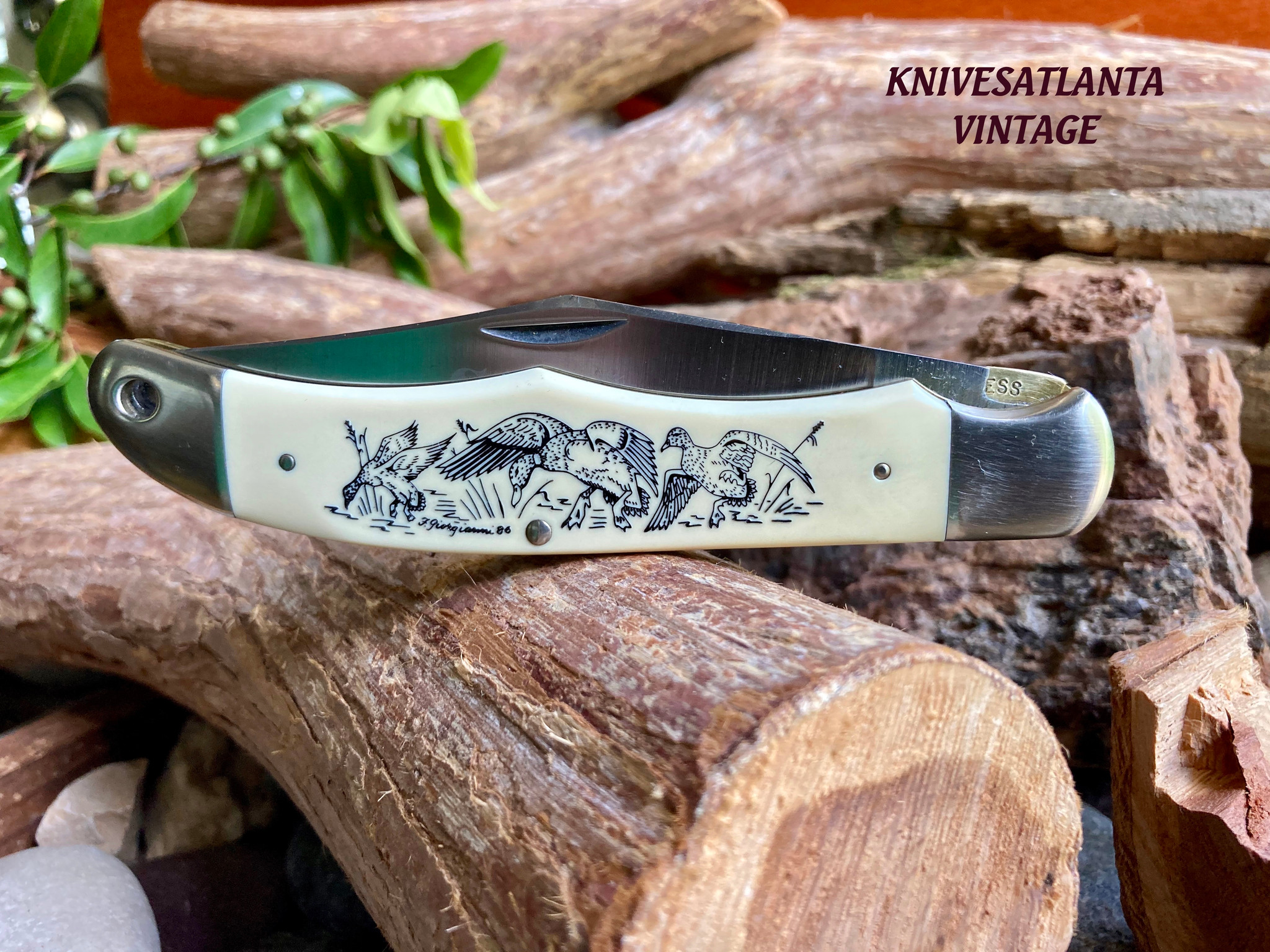SCHRADE MALLARD SCRIMSHAW SC500 FOLDING HUNTER ~ Vintage - KnivesAtlanta