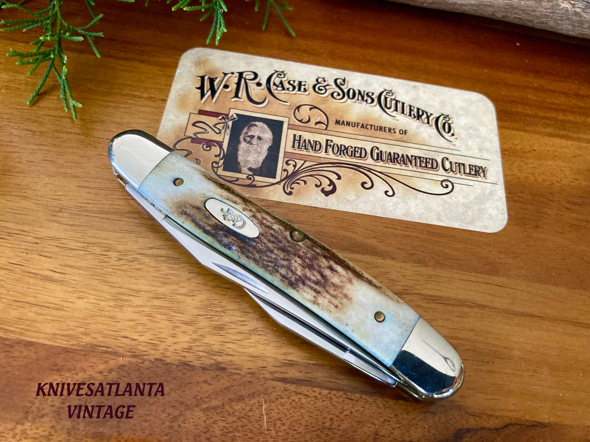 Case 2010 Stag Muskrat Knife ~Tang Stamp Premiere