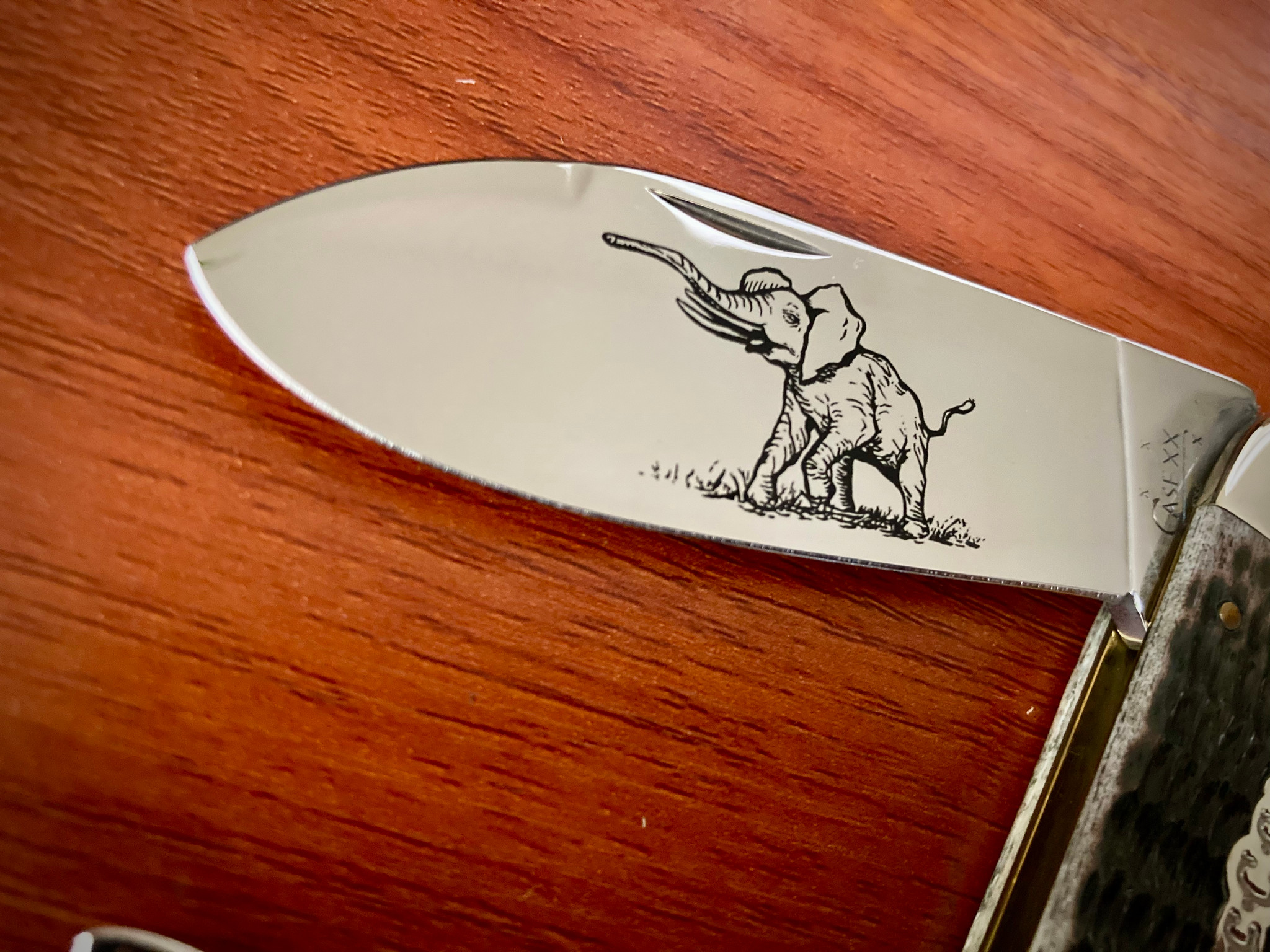 CASE KNIFE 6250 ELEPHANT TOE ~ OLD GREEN BONE ~ CASE COLLECTORS CLUB ...