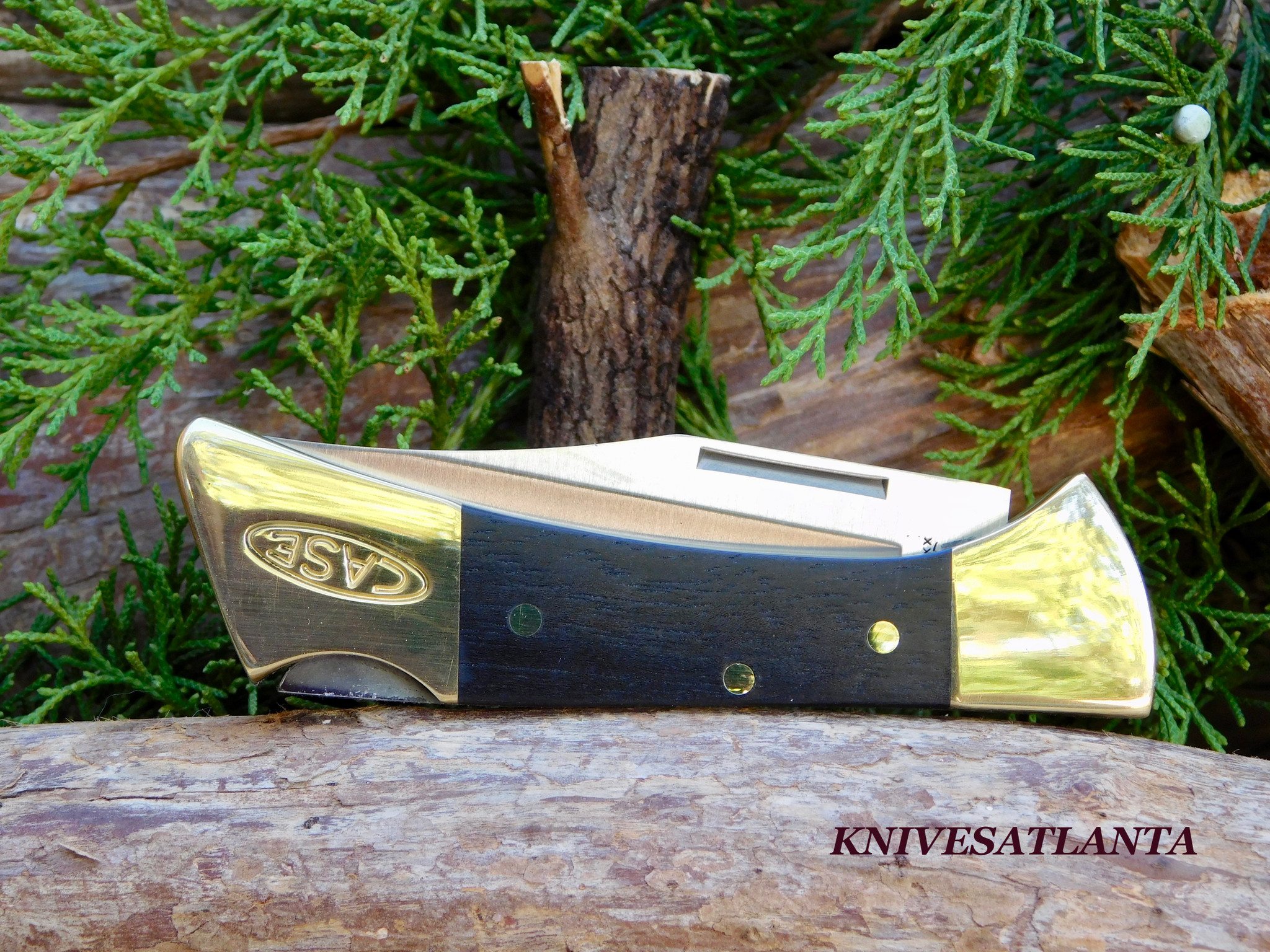 Case Ebony Wood Smooth Mako - KnivesAtlanta