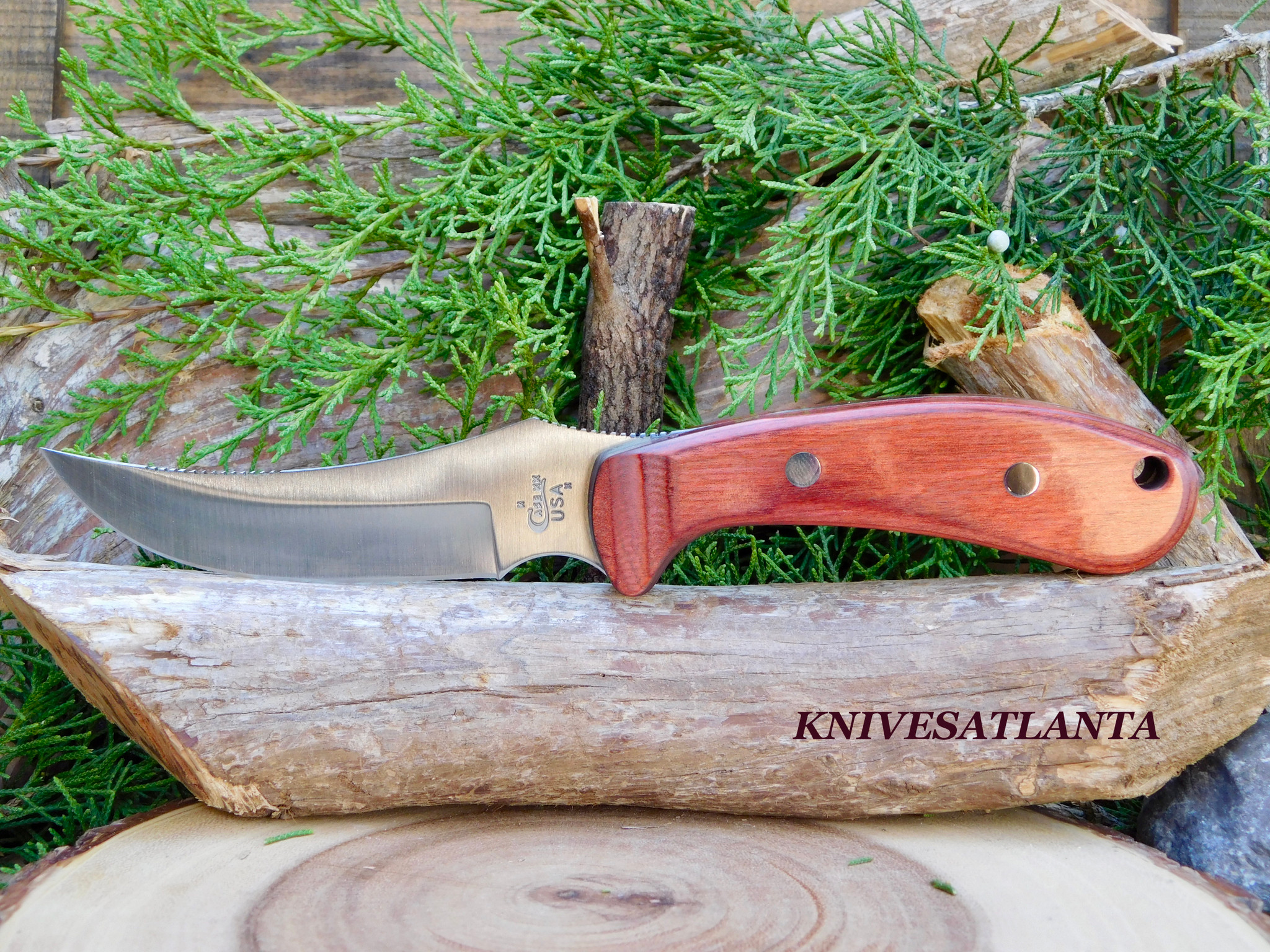 Case Smooth Rosewood Ridgeback® Hunter - KnivesAtlanta