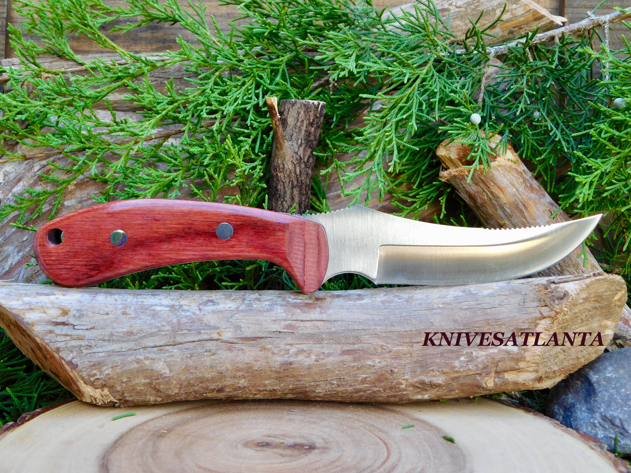 Case Smooth Rosewood Ridgeback® Hunter - KnivesAtlanta