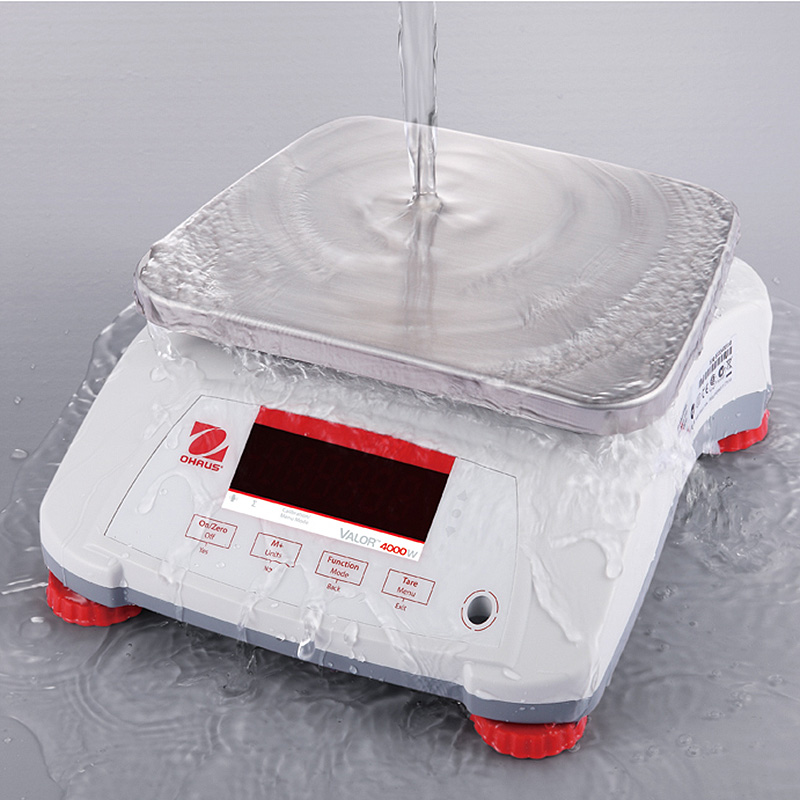 Ohaus V41 Weighing Scales On Sale - The Scale Shop Australia