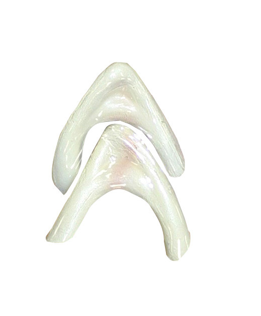 Elf Ear Tips Lord Of Rings Legolas Arwen 9042 - Private Island Party