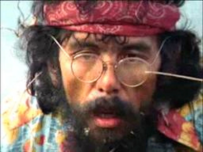 Mexican Cheech Costume Mustache 9041 - Private Island Party