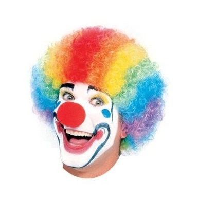 Clown Wig Rainbow Adult | PrivateislandParty.com