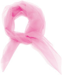 DOZEN Long Sheer Chiffon Scarves Mixed Colors 2128