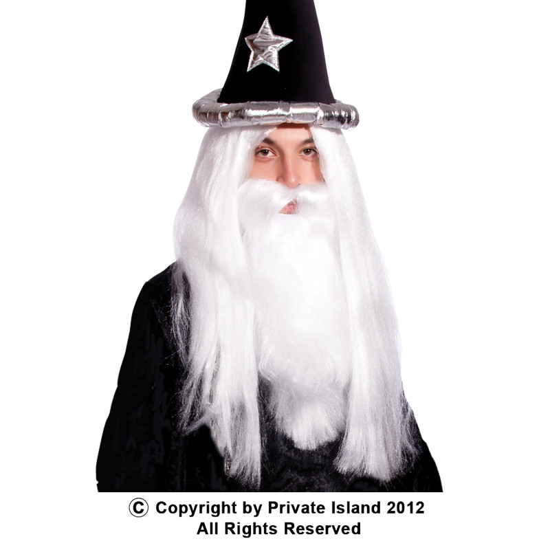 Deluxe Wizard Beard 1821 - Private Island Party