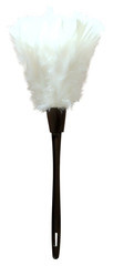 French Maid Feather Duster 1781 - Private Island Party