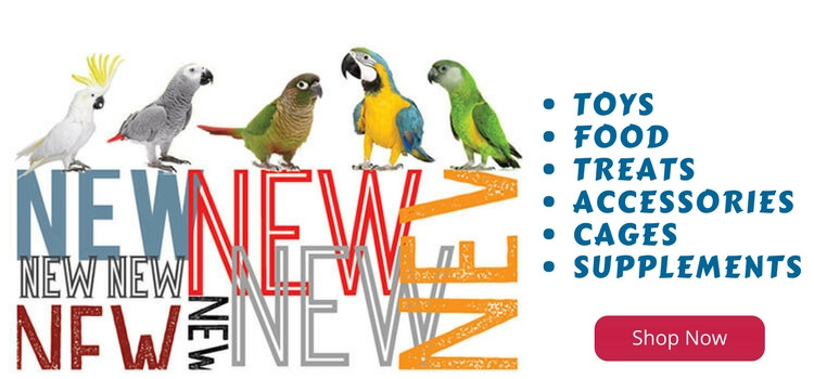 Parrot Essentials - Parrot Shop | Parrot Food | Parrot Toys | Parrot ...