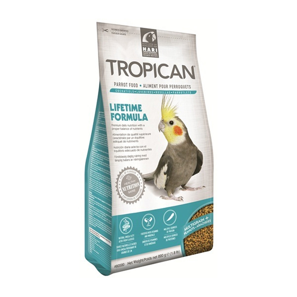 Premium Pellets Parrot Food | Parrot Essentials