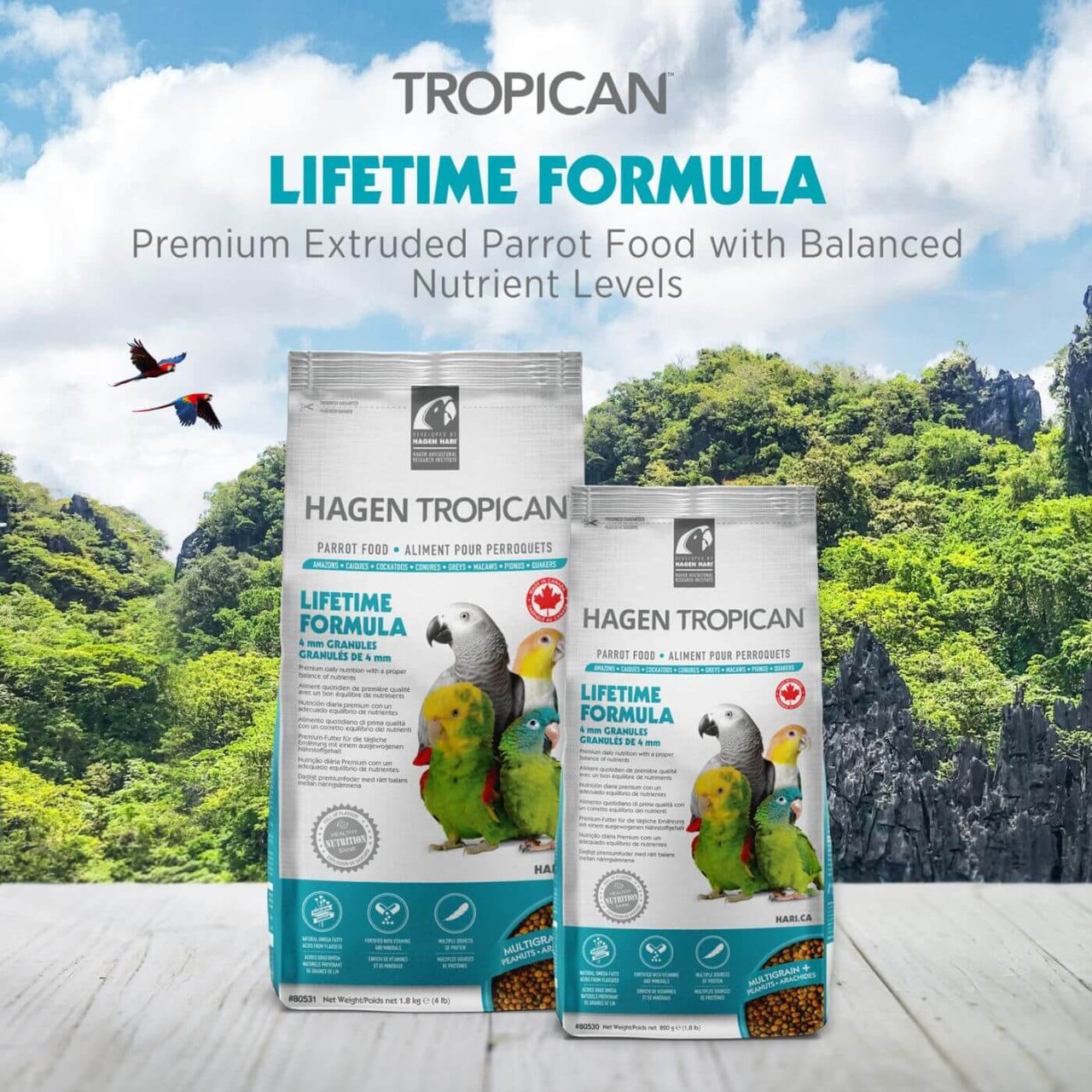 Premium Pellets Parrot Food | Parrot Essentials