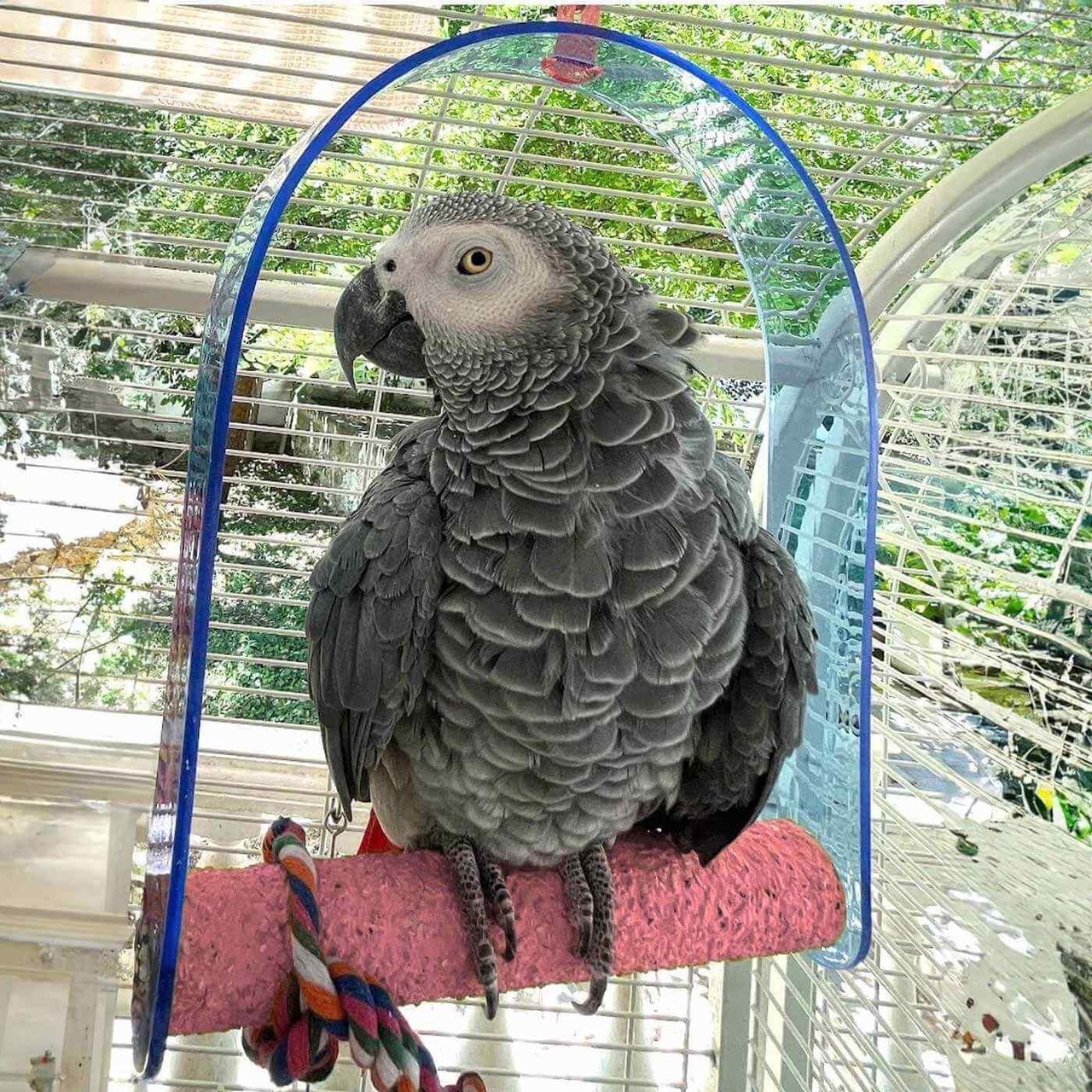 Preenable Nail Trim Parrot Perch Swing - Parrot Essentials