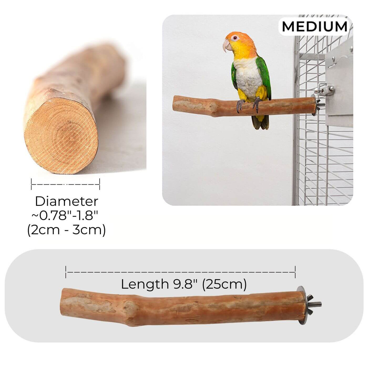 Medium Pine Branch Parrot Perch - Parrot Essentials