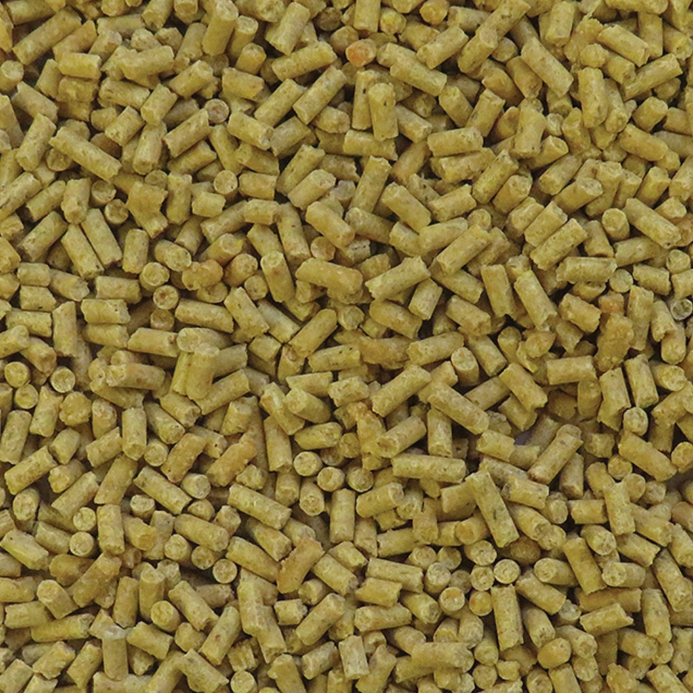 Tropical Treat Pellets Conure Food - Parrot Essentials