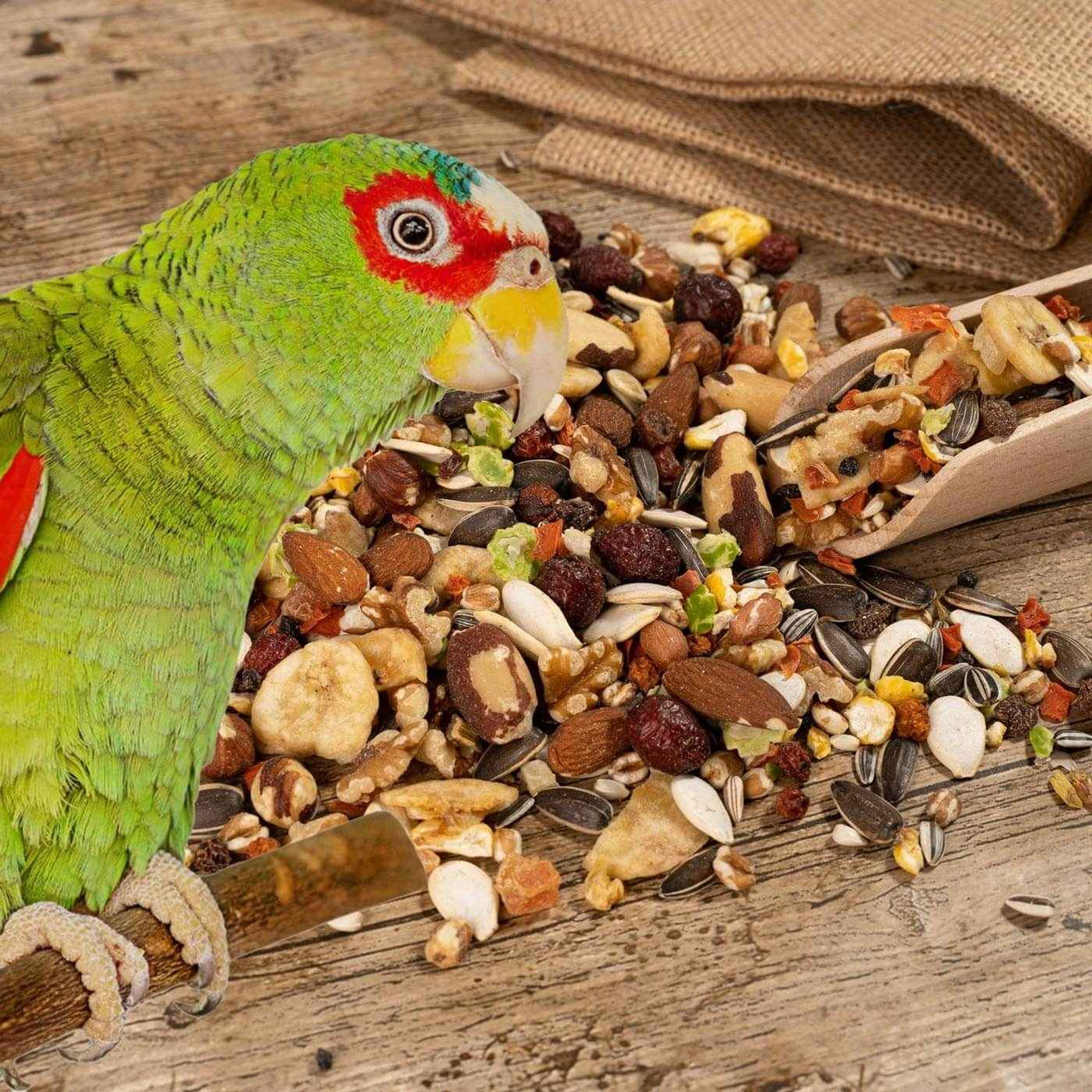 Premium Tropical Parrot Food Seed mix with Fruit and Nuts
