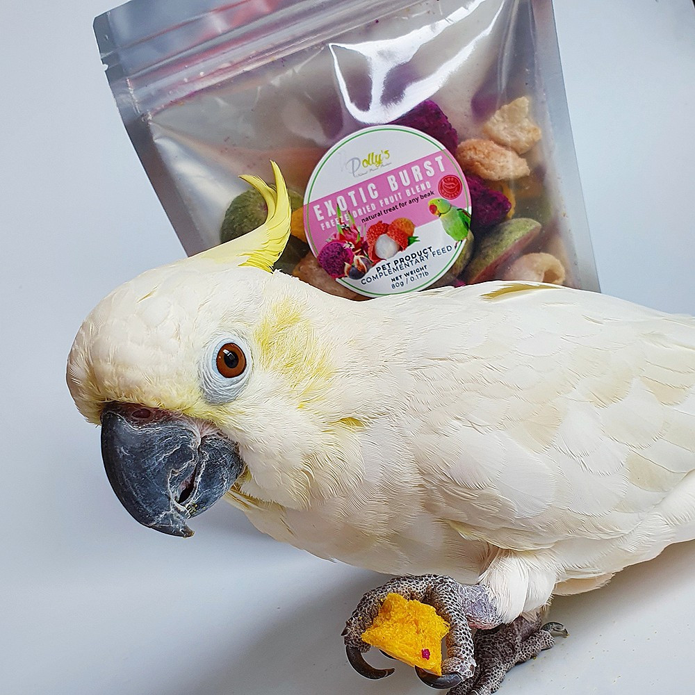 Polly`s Exotic Burst Freeze Dried Fruit Mix for Parrots