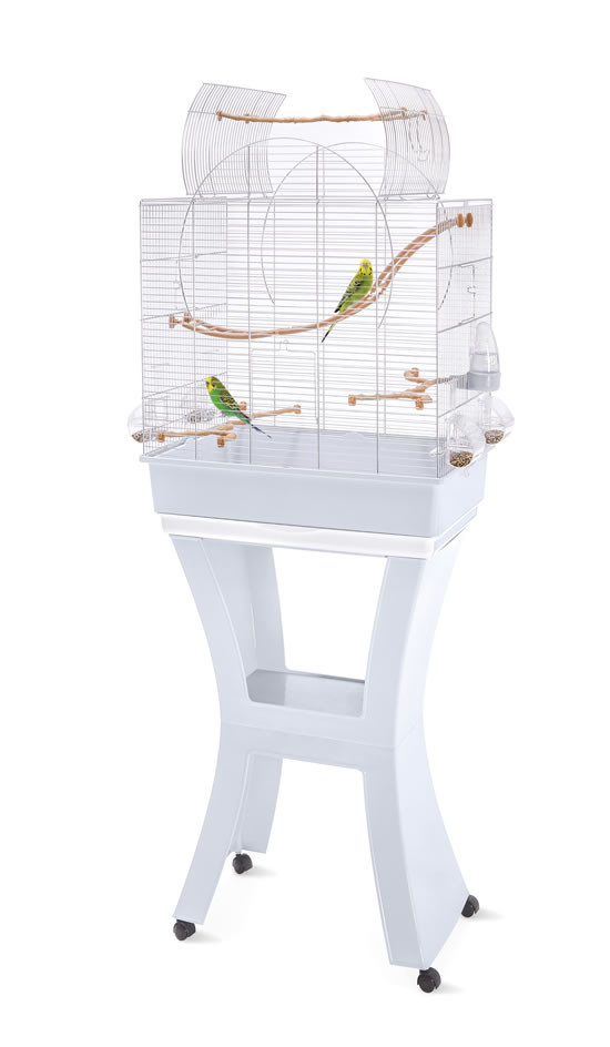 Parrot Essentials - Parrot Shop | Parrot Food | Parrot Toys | Parrot ...