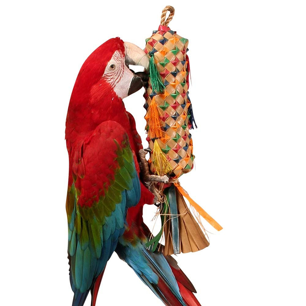 Coloured Pinata Spiked Natural Parrot Toy - Large