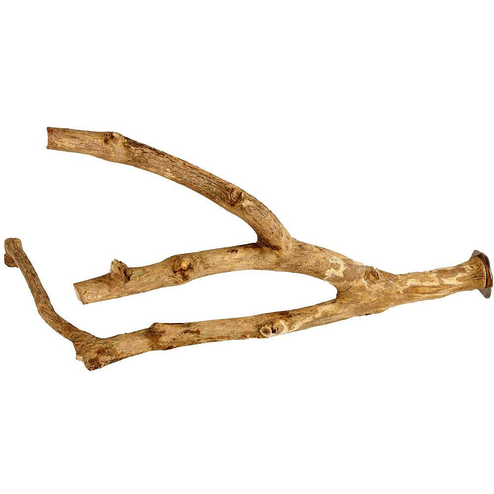 Small Textured Edible Parrot Perch - Parrot Essentials