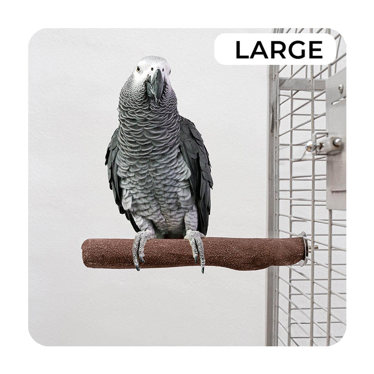 Large Nail Trim Parrot Perch - Parrot Essentials