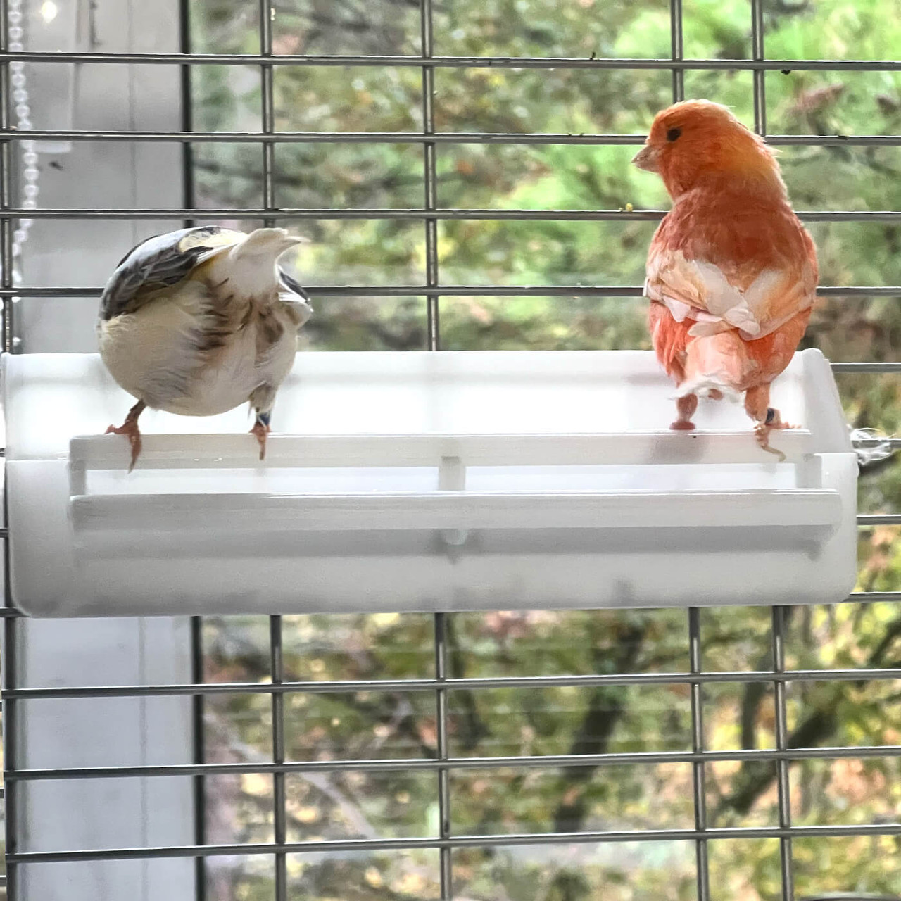 White Plastic Bird Cage Feeder for Small Parrots Pet Birds