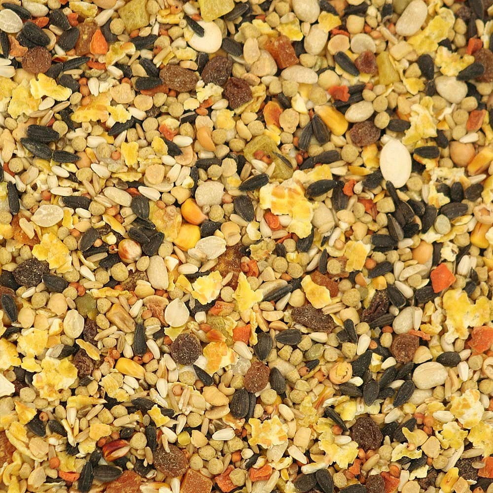 Small Parrot Seed, Fruit & Nut Mix | Parrot Essentials