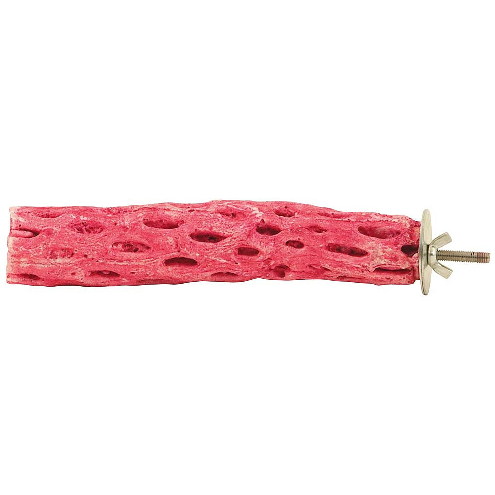 Chewable Parrot Perch - Large | Parrot Essentials