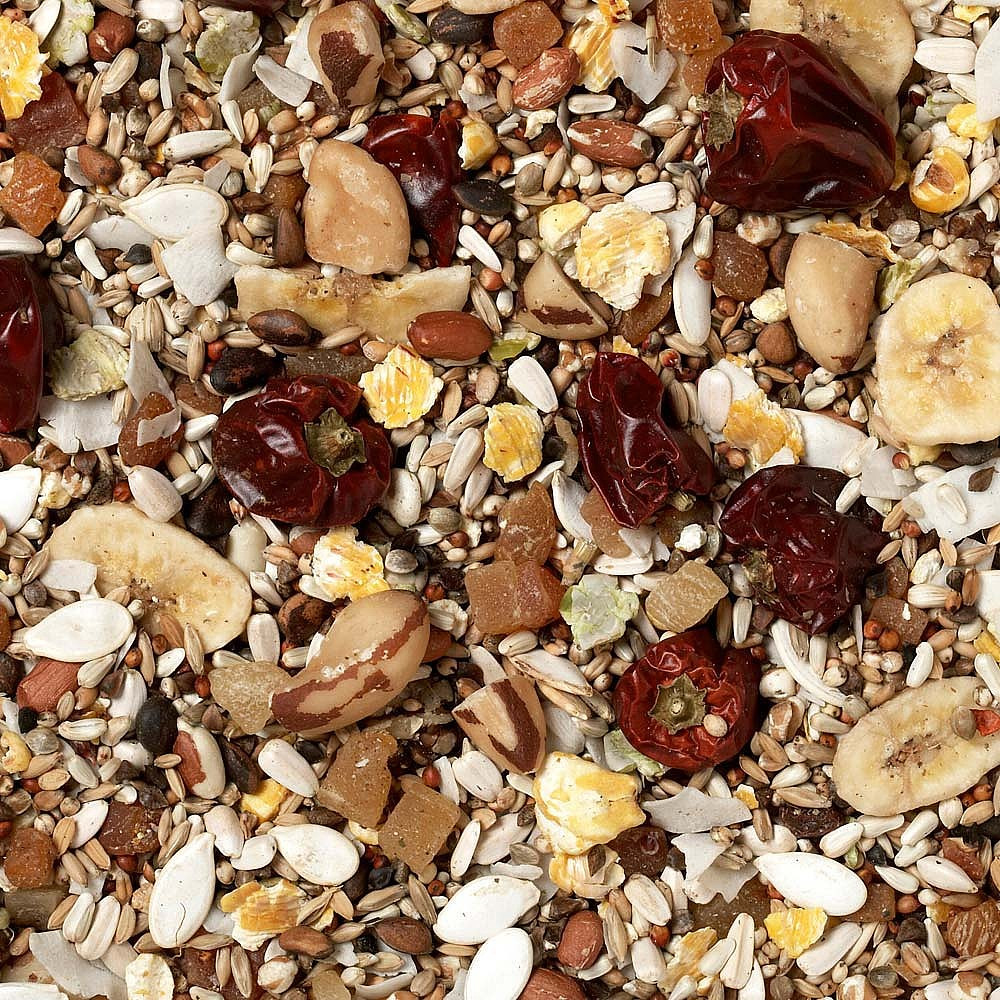JJ African Grey Parrot Food Low Sunflower Seed Mix