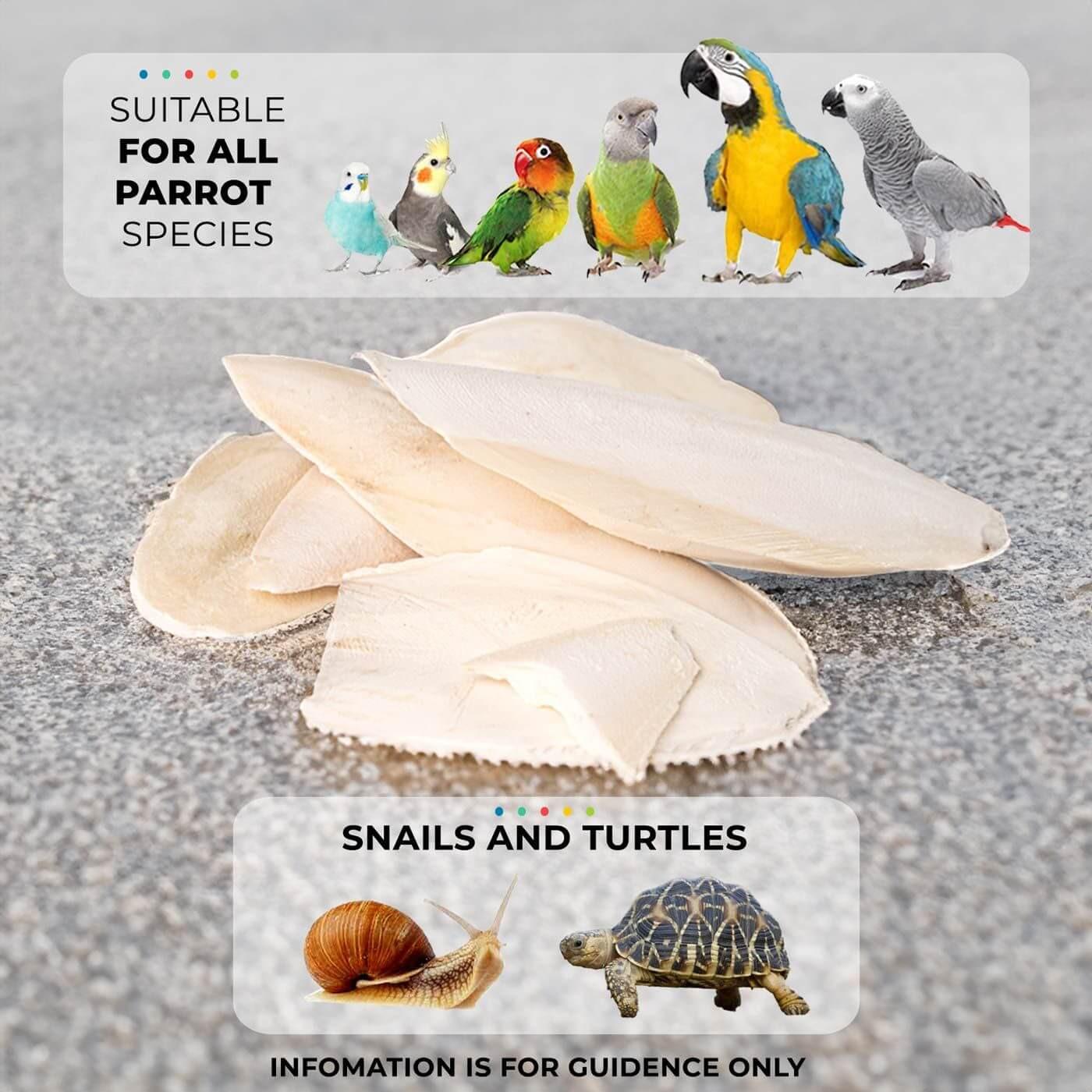Cuttlefish Bone for Parrots & Pet Birds - 100g Pack