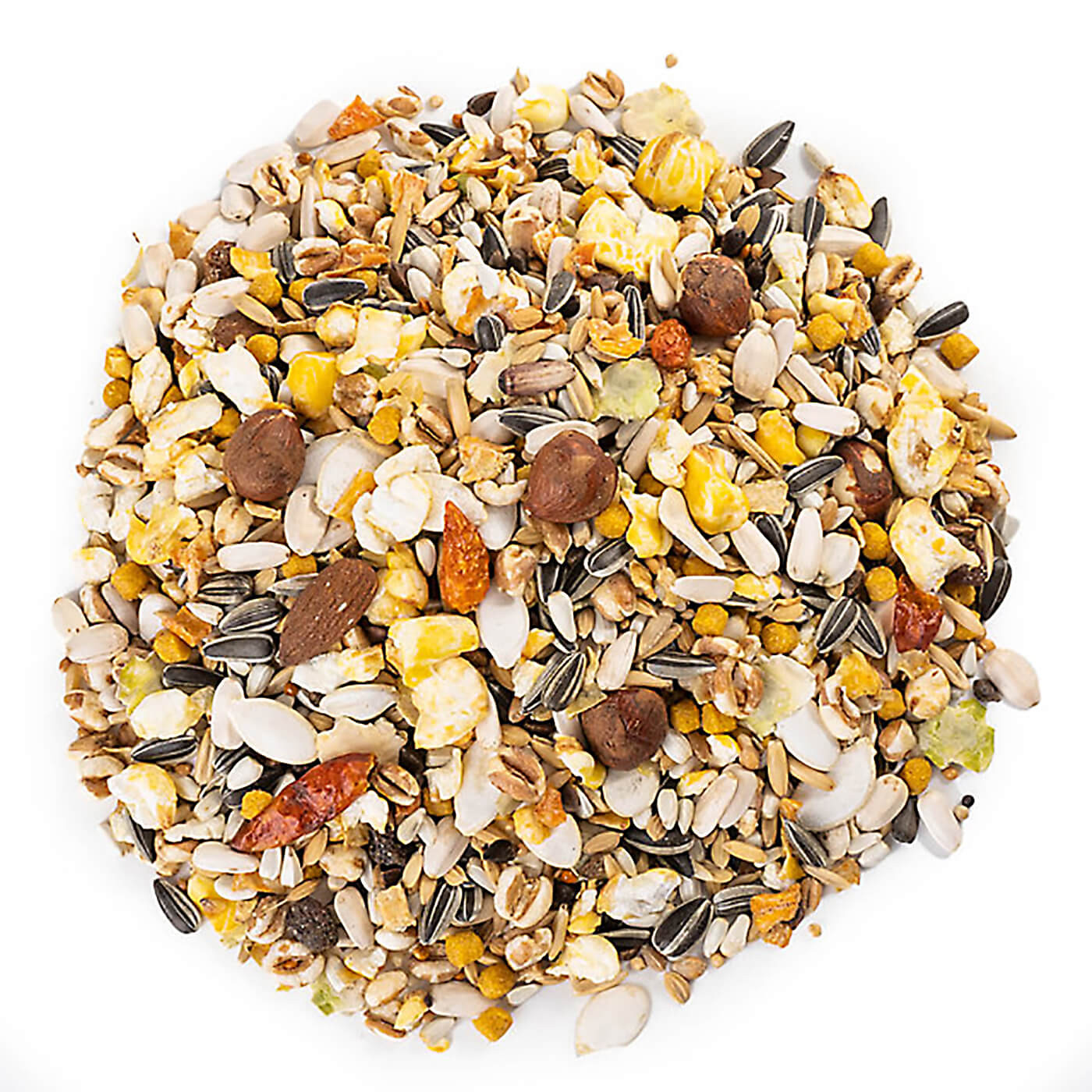 Expert Premium Professional Nutritious Parrot Food Seed Mix