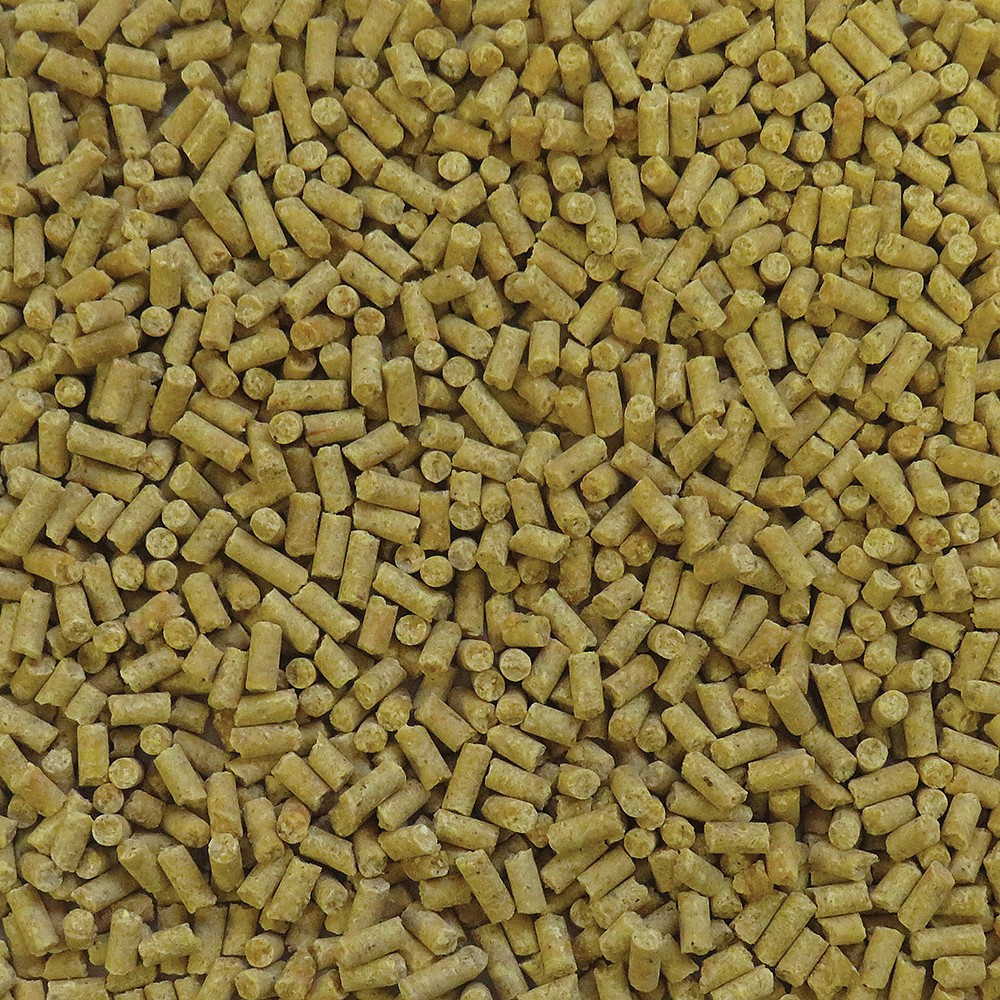 Tropical Treat Pellets Parrot Food - Parrot Essentials