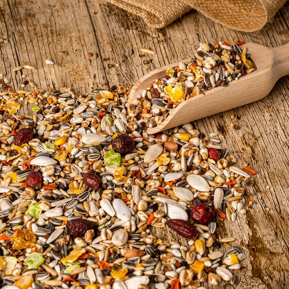 Low Sunflower Parrot Food Seed Mix - Parrot Essentials