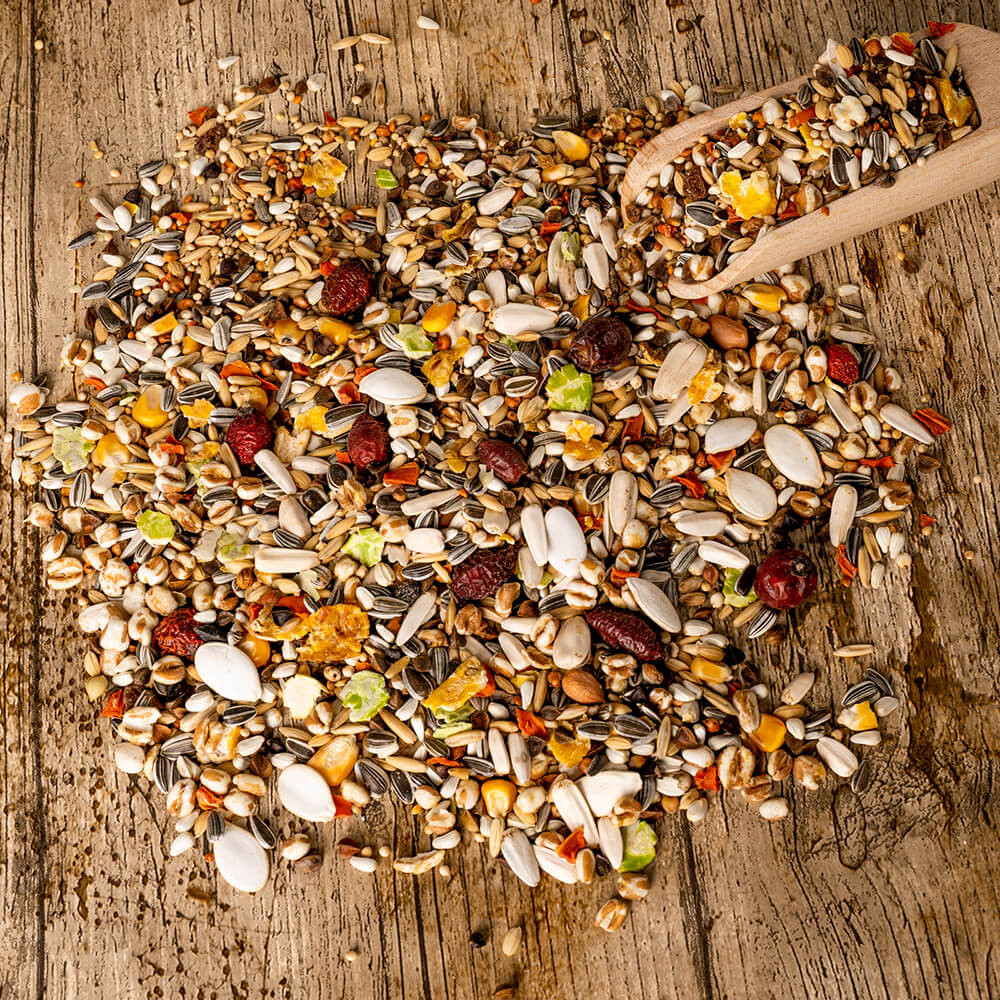 Low Sunflower Parrot Food Seed Mix - Parrot Essentials