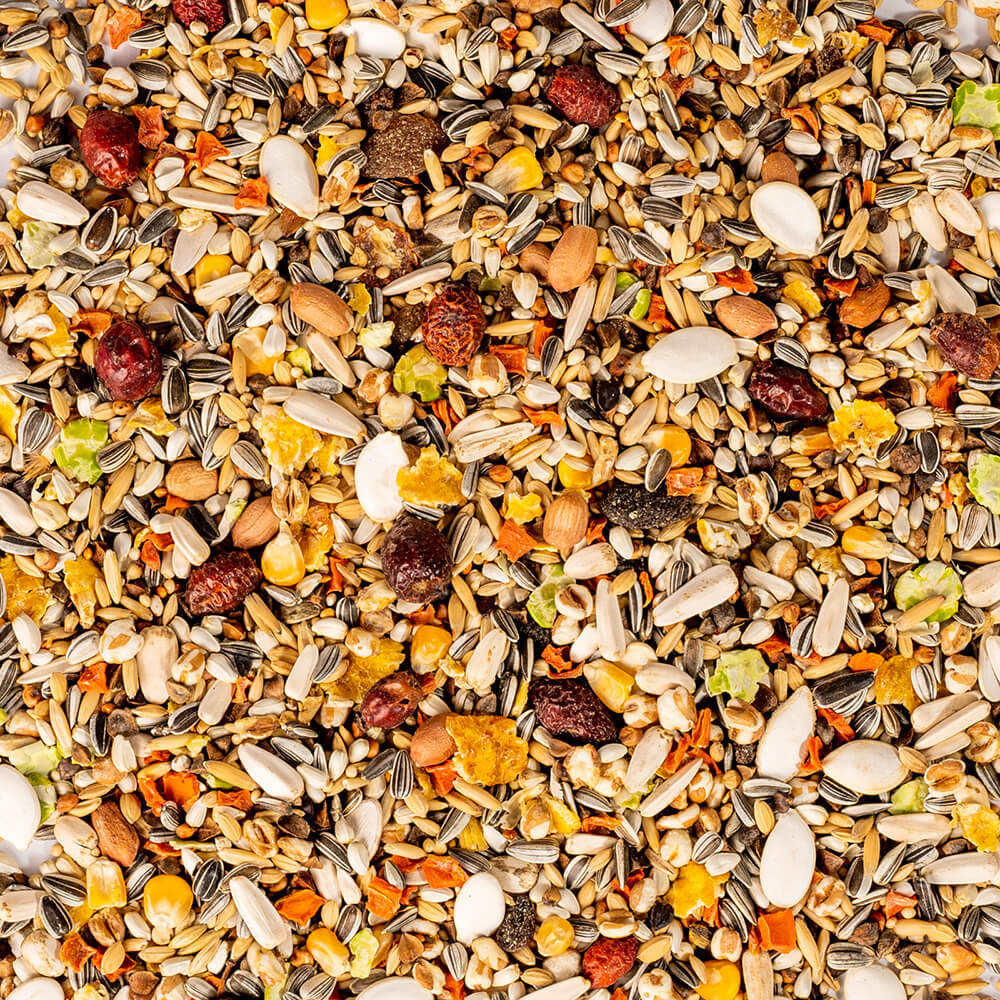 Low Sunflower Parrot Food Seed Mix - Parrot Essentials